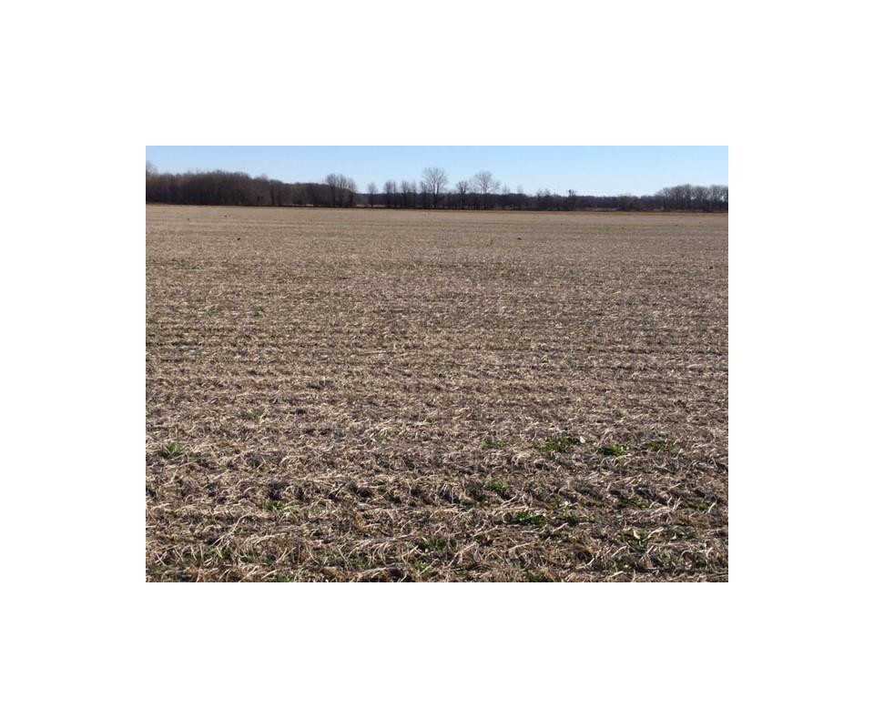 Lonsway Farmland Auction